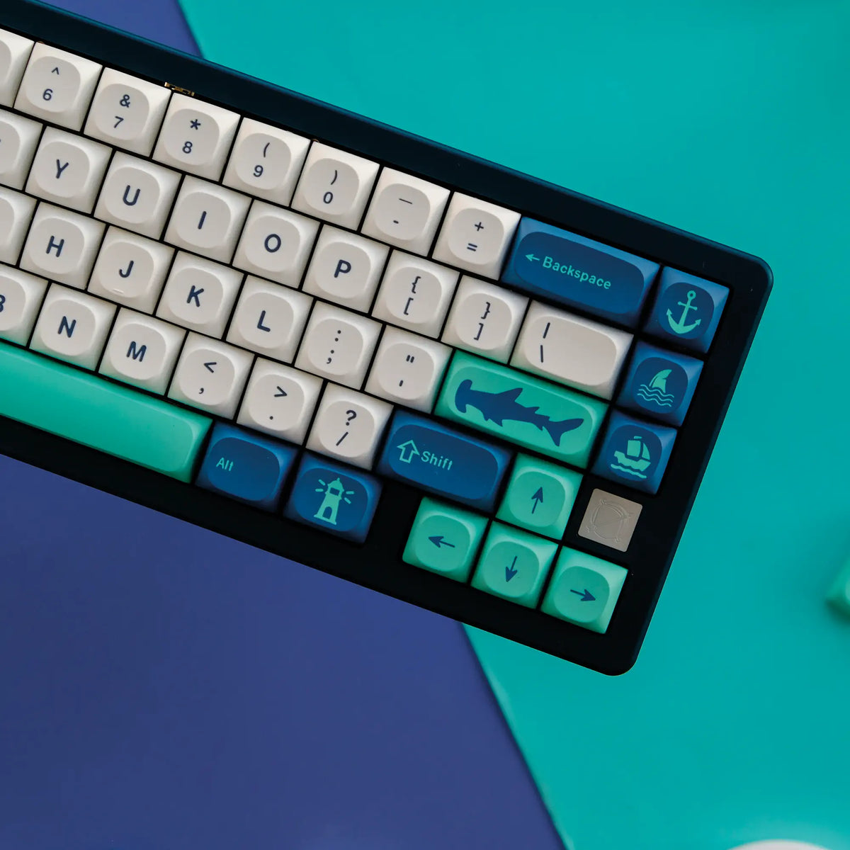 Keycaps AZERTY/QWERTY Shark pour Ton Clavier - CustomTonClavier.fr